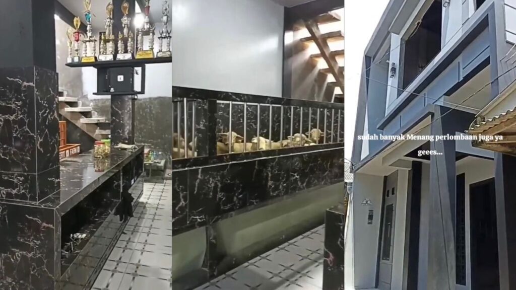 Rumah mewah rupanya kandang biri-biri - Kosmo Digital