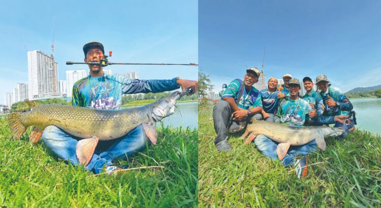 Alligator gar 21.5kg didaratkan di Tasik Metropolitan Kepong - Kosmo ...